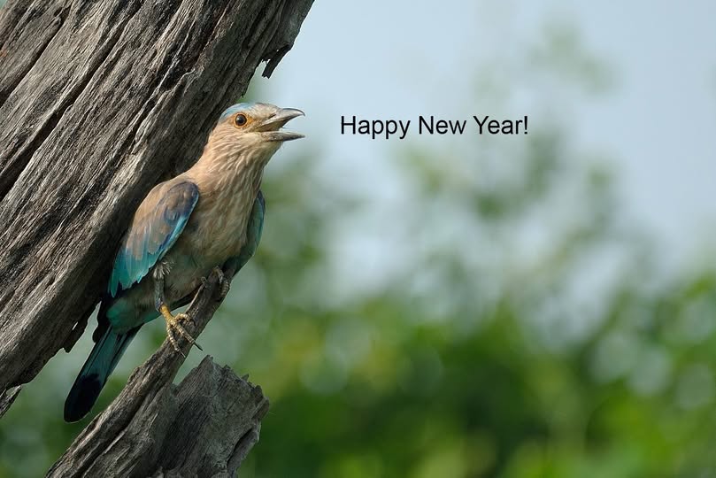 New Year; What We Call the Beginning is Often the End – Prerna's ...